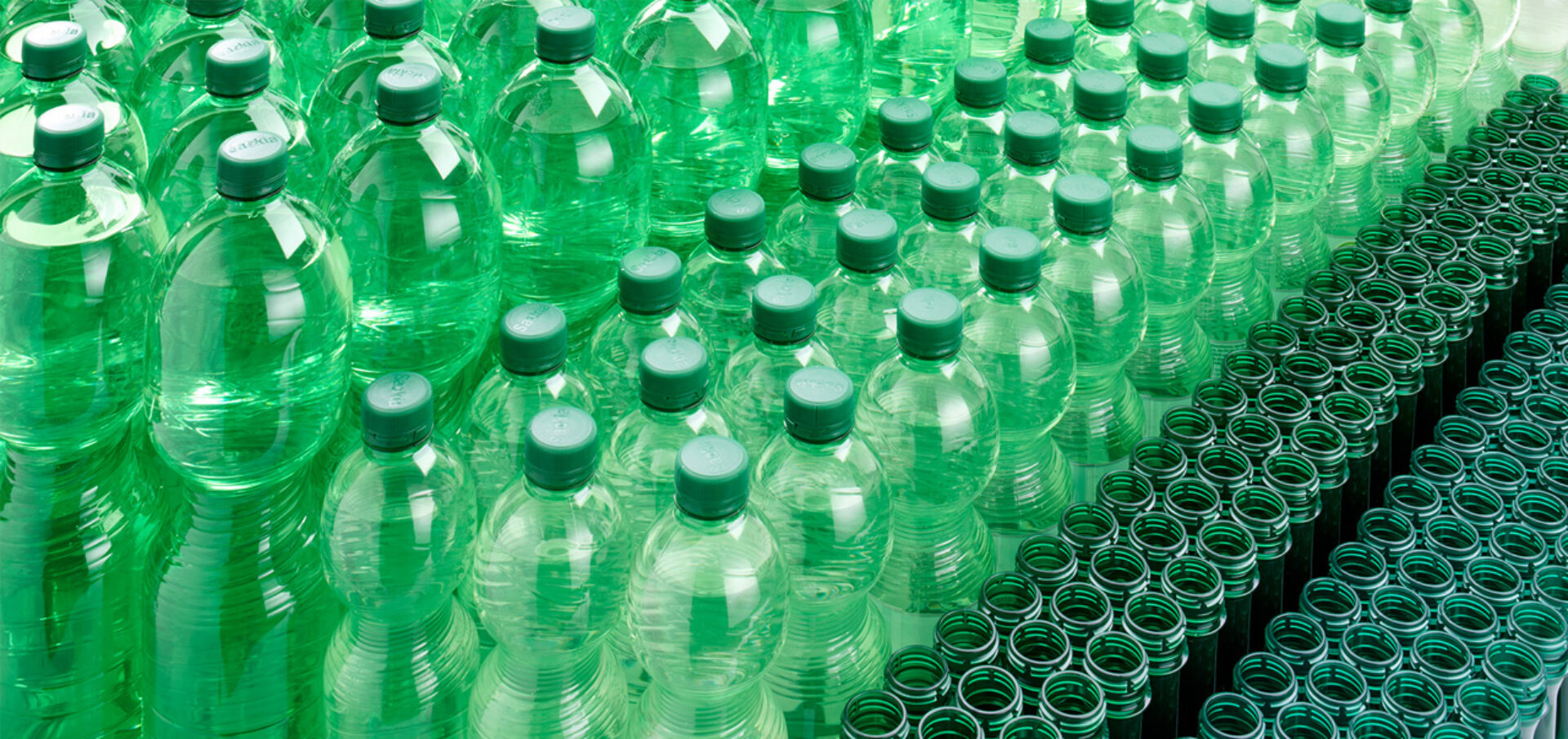 Karriere - MEG Gruppe